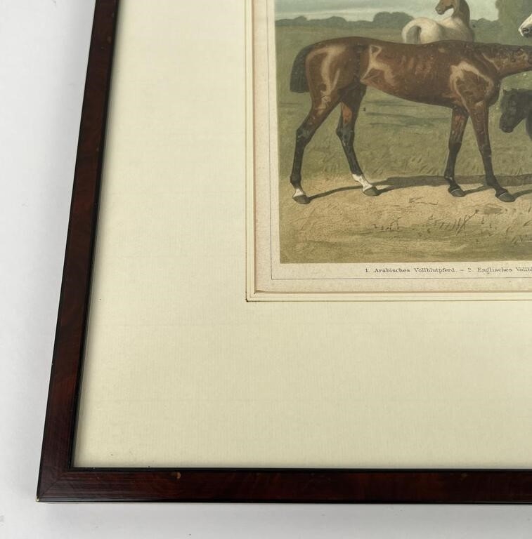 Emil Volkers | Horse Breeds (1892) | MutualArt