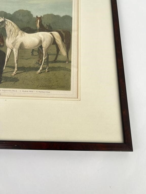 Emil Volkers | Horse Breeds (1892) | MutualArt
