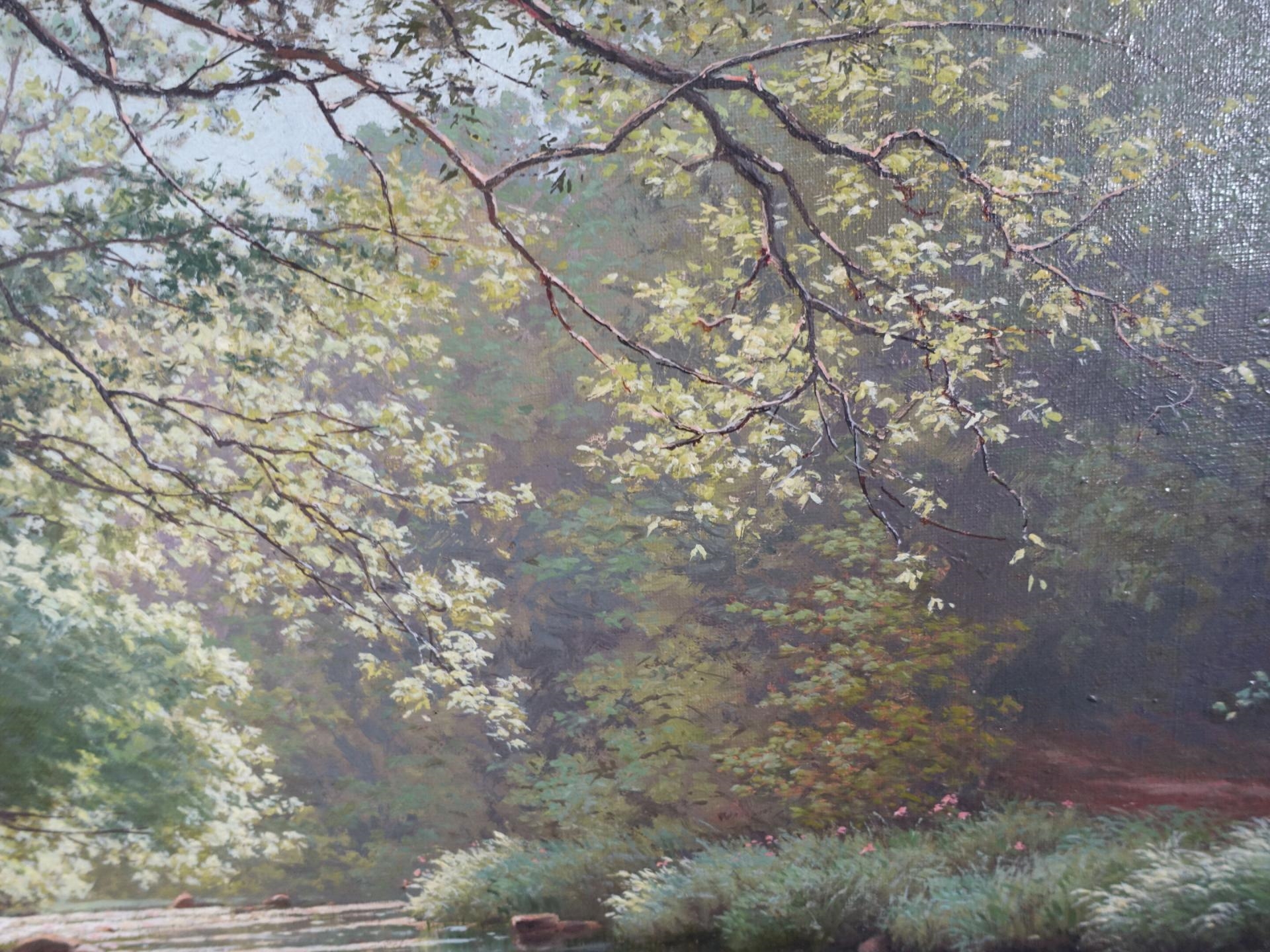 René Charles Edmond His | : Yonne, le Serein dans la forêt de Champlive ...