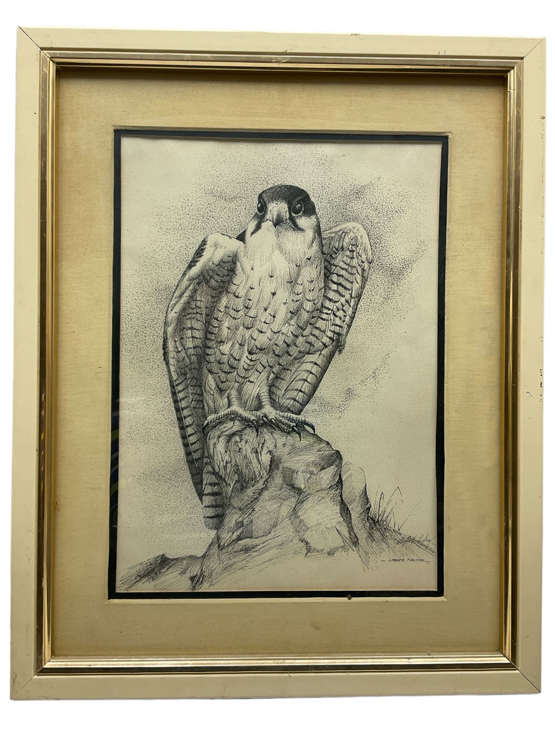 Gordon C. Turton | A Lanner Falcon | MutualArt