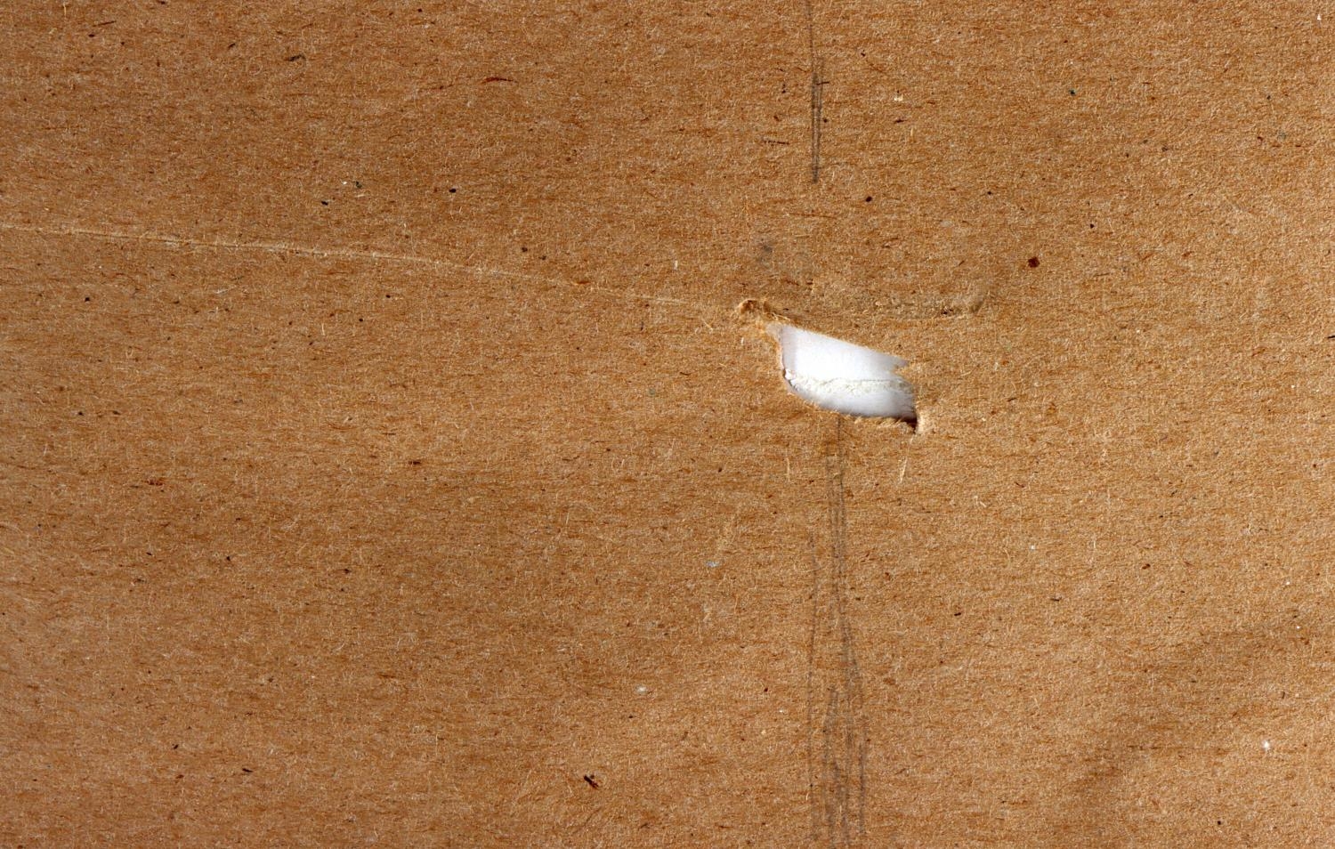 Alfred William Strutt | Thanks Awfully | MutualArt