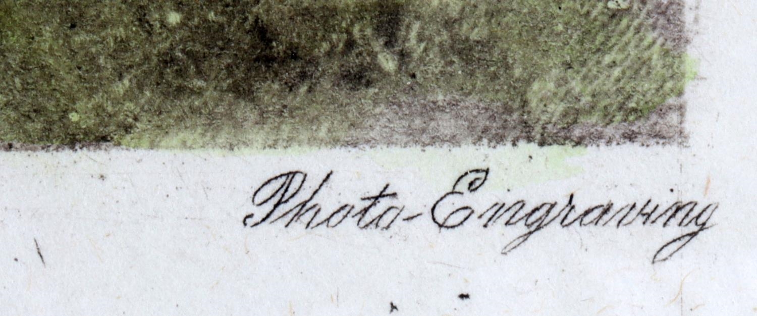 Alfred William Strutt | Three Offers | MutualArt