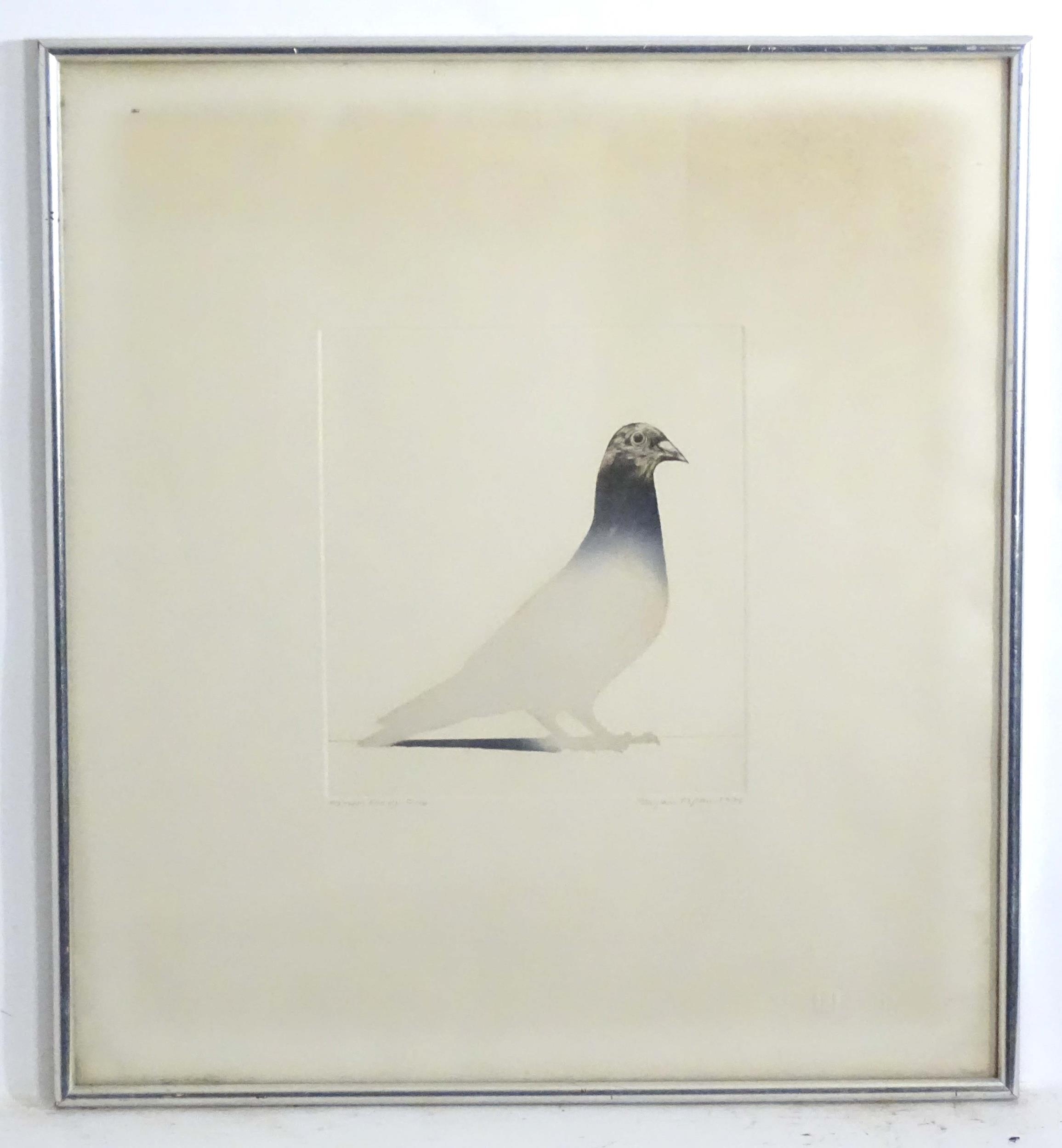 Bryan Organ | Pigeon (1976) | MutualArt