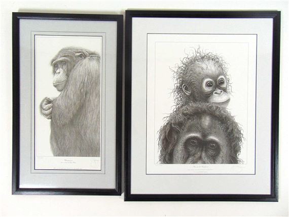 Gary Hodges | Chimpanzee, Plea For the Rainforest | MutualArt