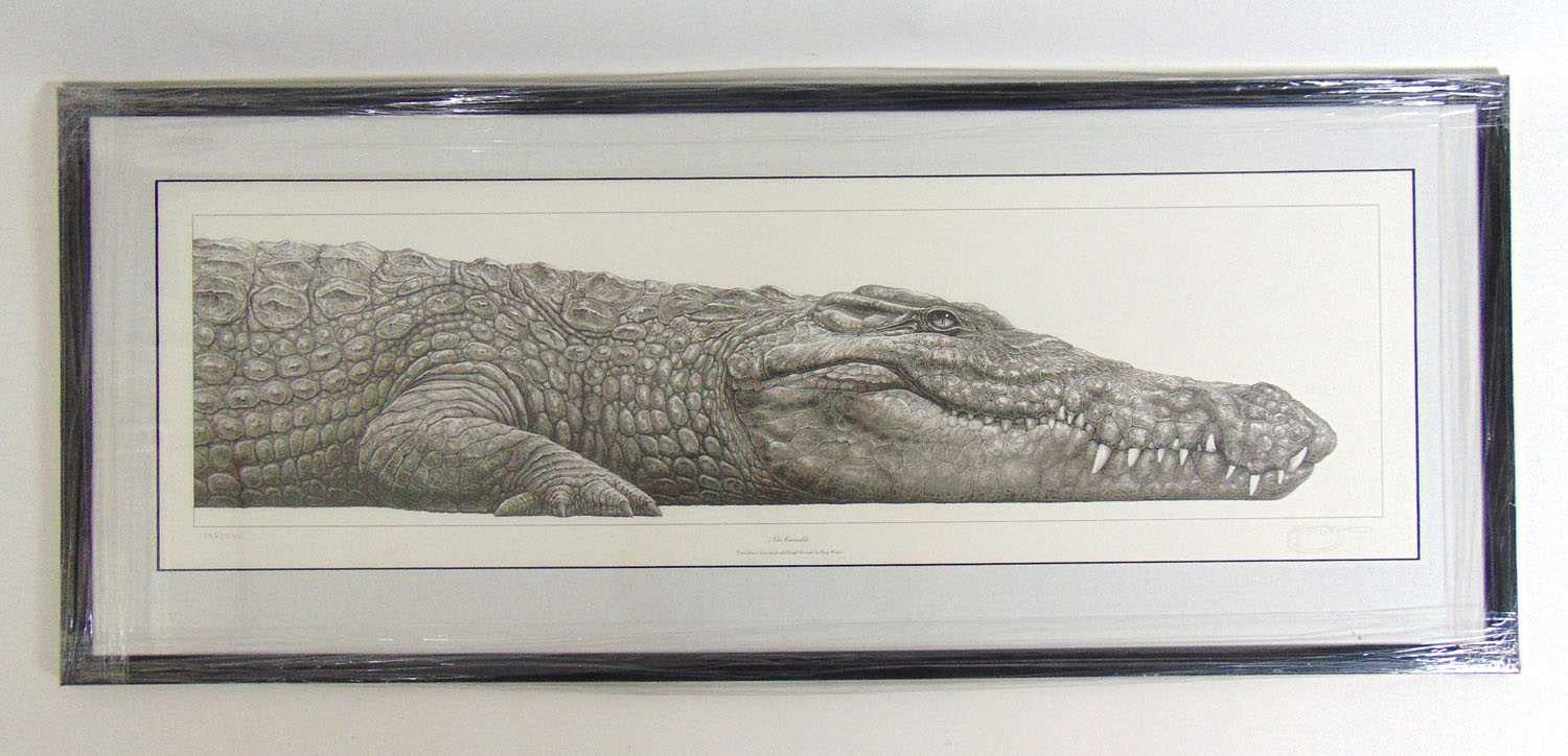 Gary Hodges | Nile Crocodile | MutualArt
