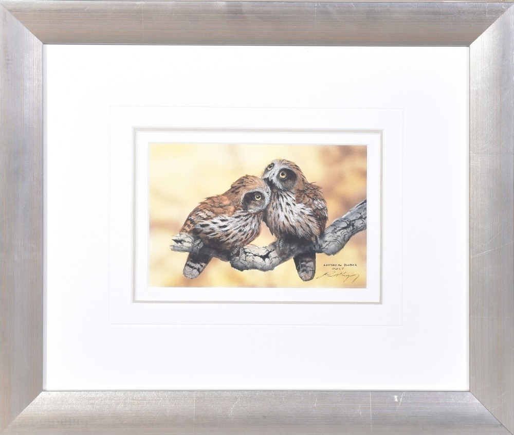 Paul Margocsy | Australian Boo Book Owls | MutualArt