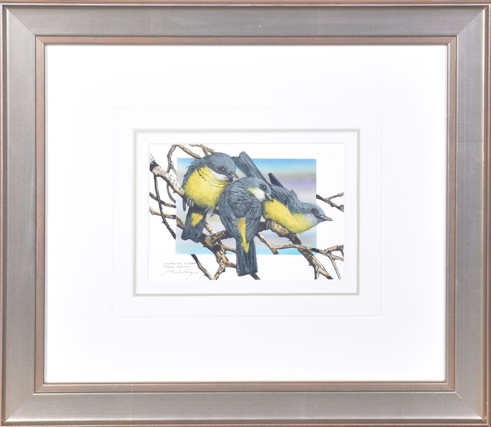 Paul Margocsy | Australian Eastern Yellow Robins | MutualArt