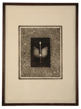 Radovan Kragulj | 'Flower' | MutualArt