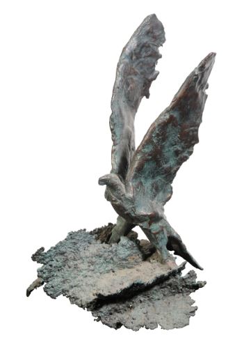 Denis Curry | 'Falcon Cloud' | MutualArt