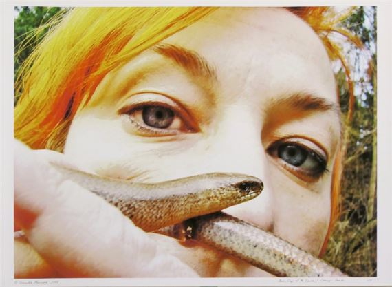 Veronika Bromová | Days of The Earth – Sping Snake (2008) | MutualArt