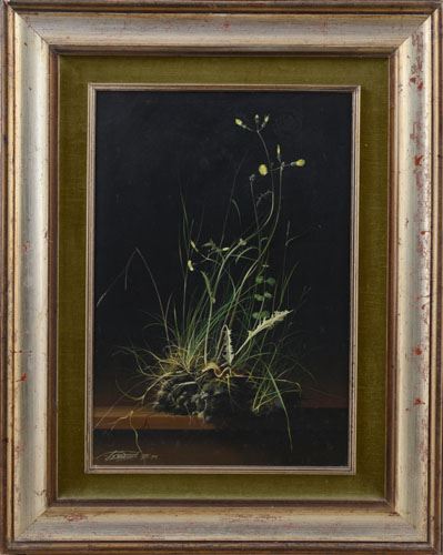 Francesco de Panis | Biography