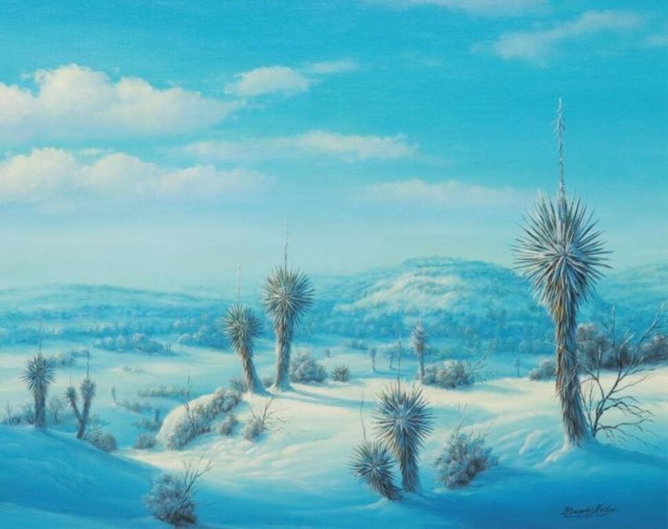 Ronnie Hedge | Snowy Southwestern Landscape | MutualArt