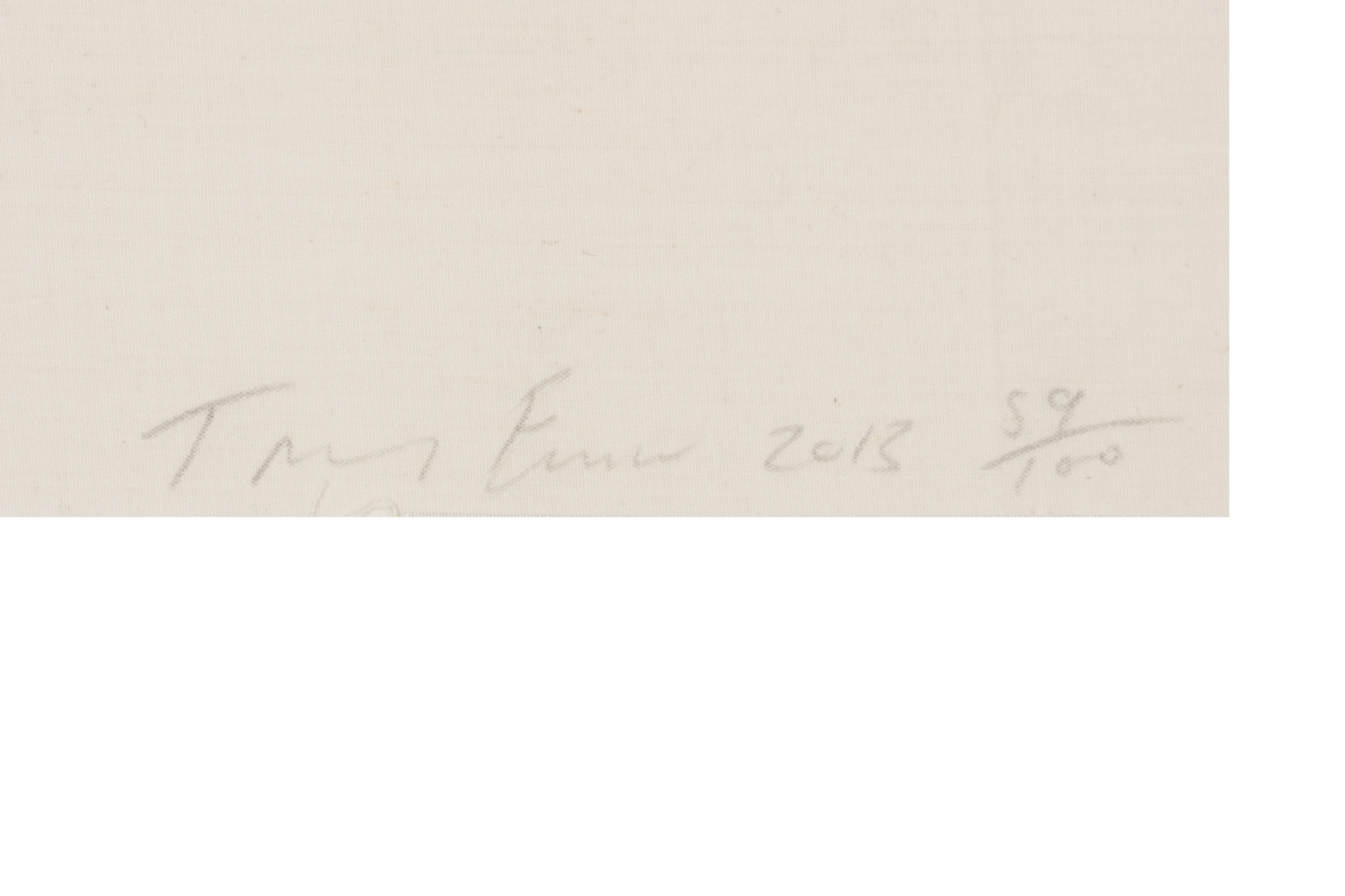 Tracey Emin | Love Poem (2013) | MutualArt