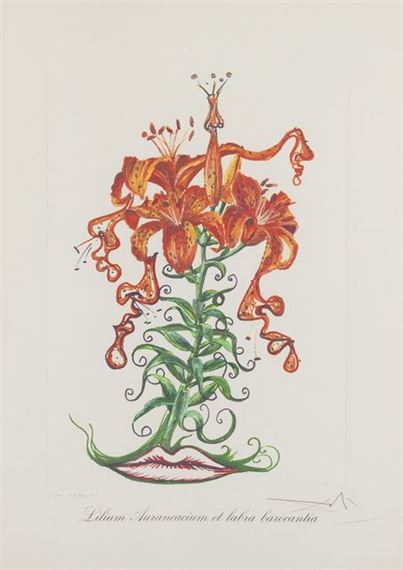 Salvador Dalí | Two plates of the series of Surrealist Flowers (1972 ...
