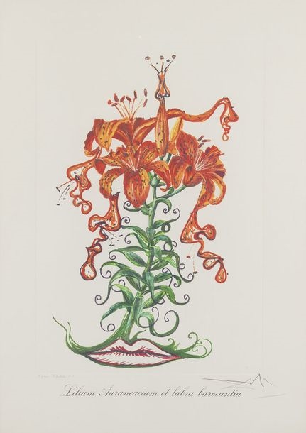 Salvador Dalí | Two plates of the series of Surrealist Flowers (1972 ...