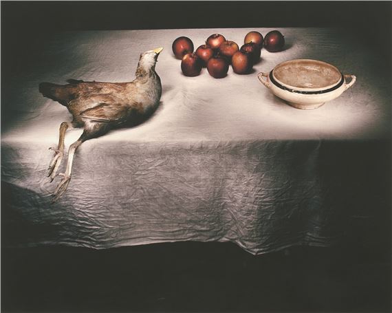 Marian Drew | Tasmanian Swamp Hen with Apples (2005) | MutualArt