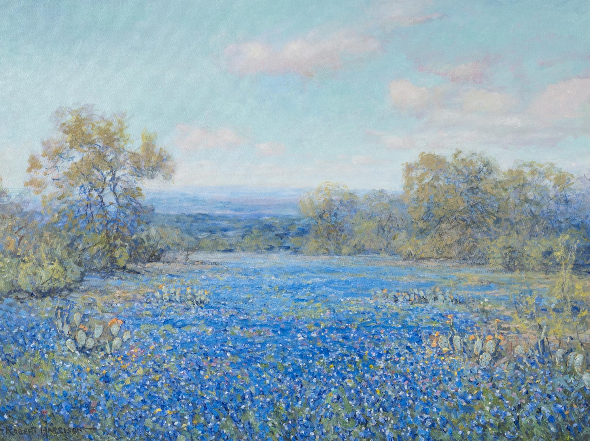 Robert Harrison | Bluebonnet Landscape | MutualArt