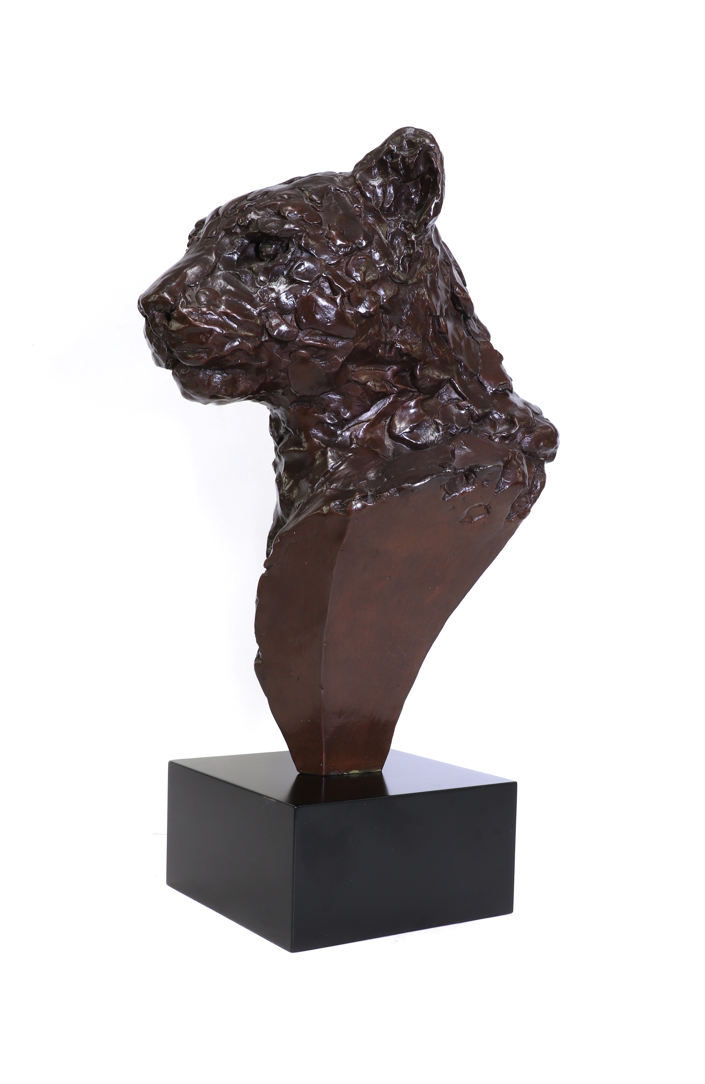 Mark Coreth | Lioness | MutualArt