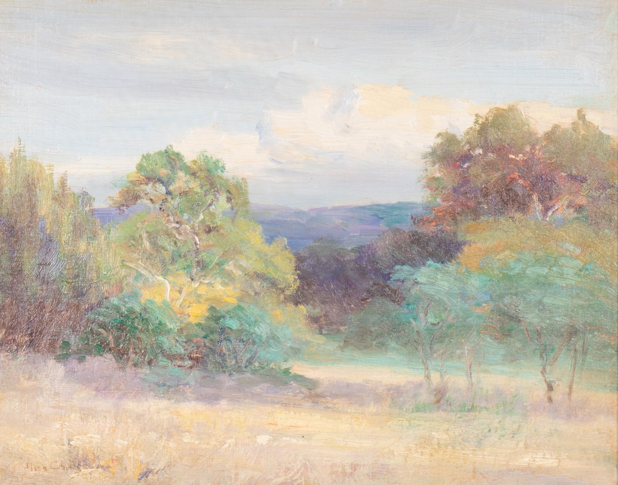Alice Chilton | Hill Country Study | MutualArt