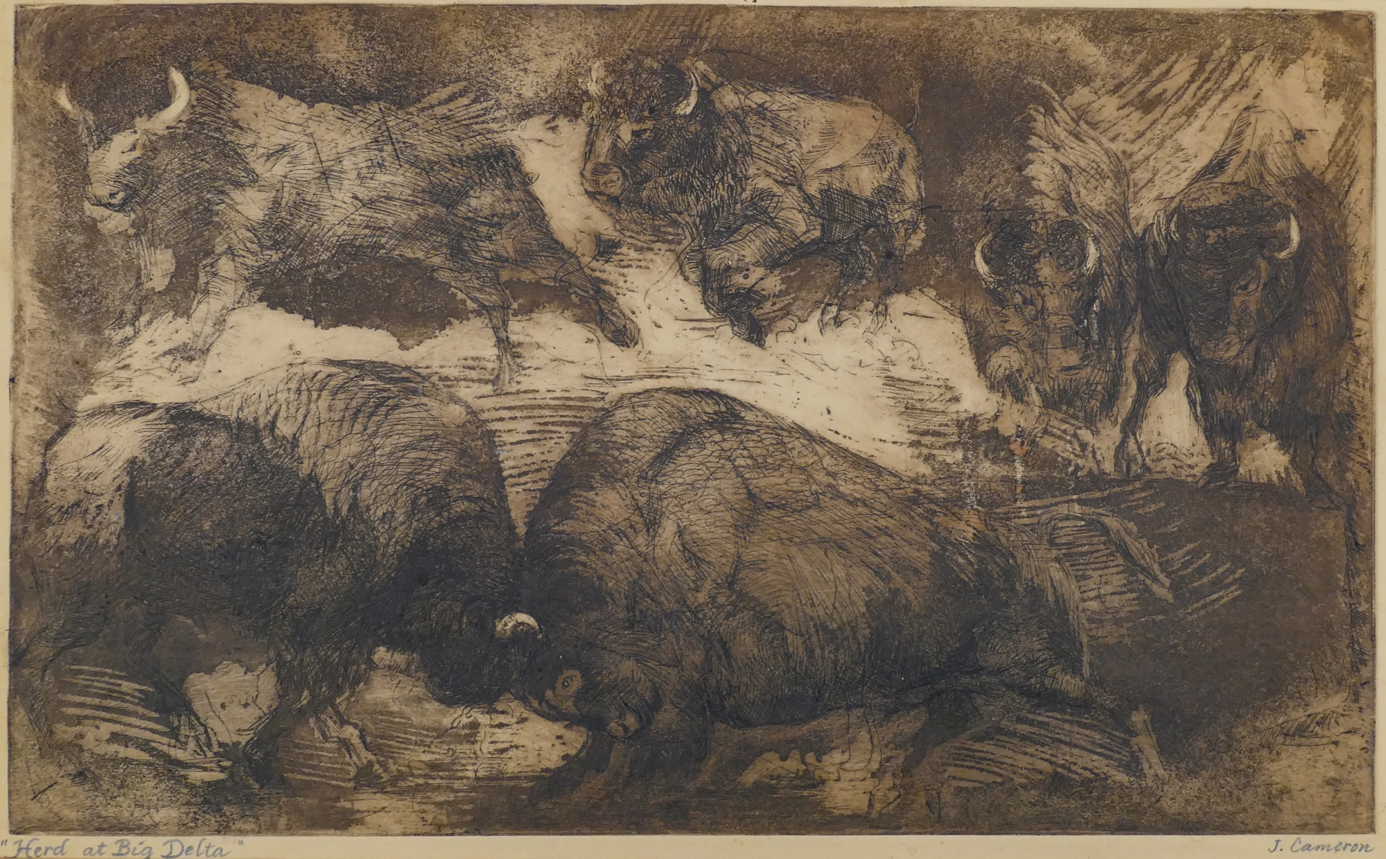 Josephine Cameron | HERD AT BIG DELTA | MutualArt