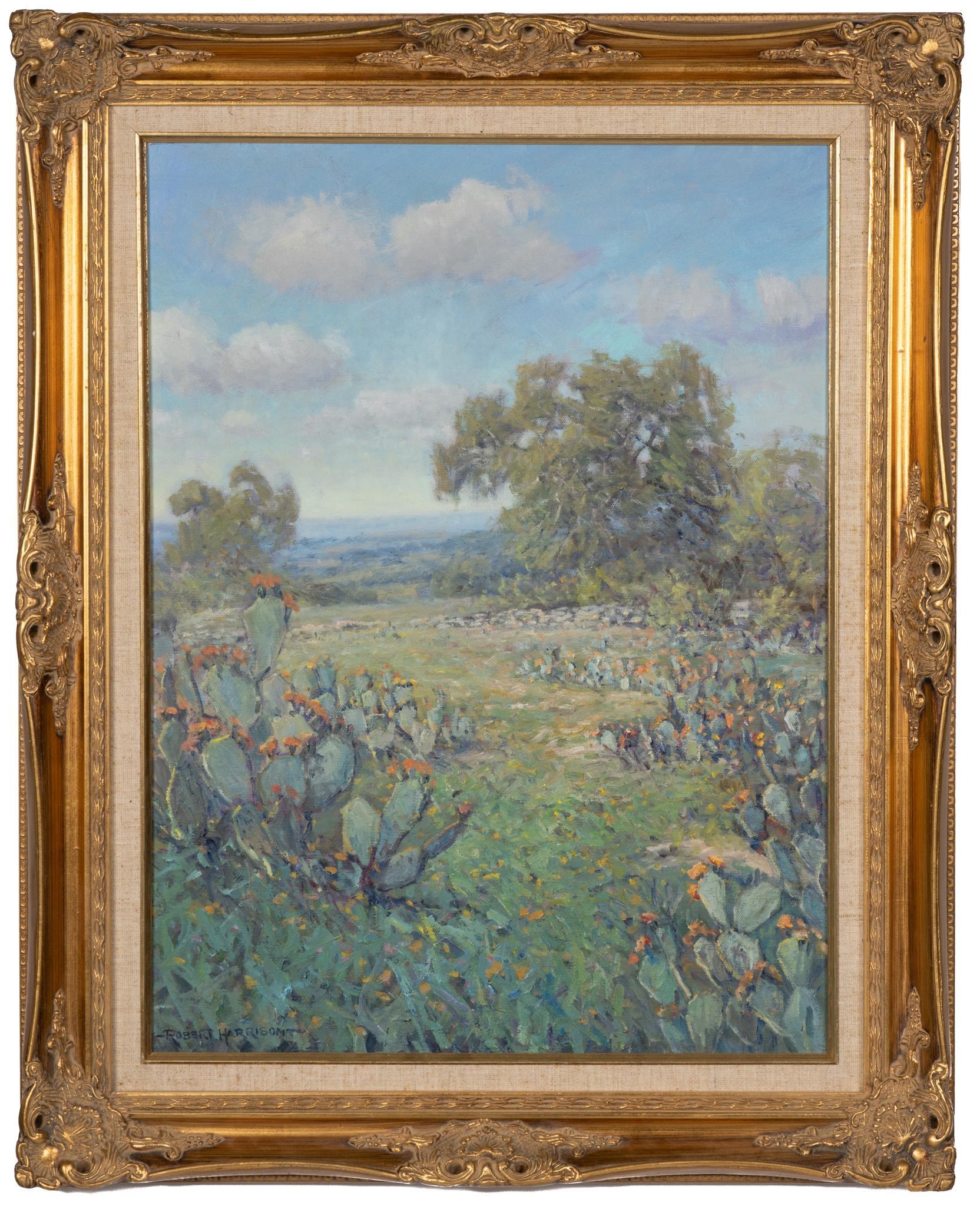 Robert Harrison | Cactus Field | MutualArt