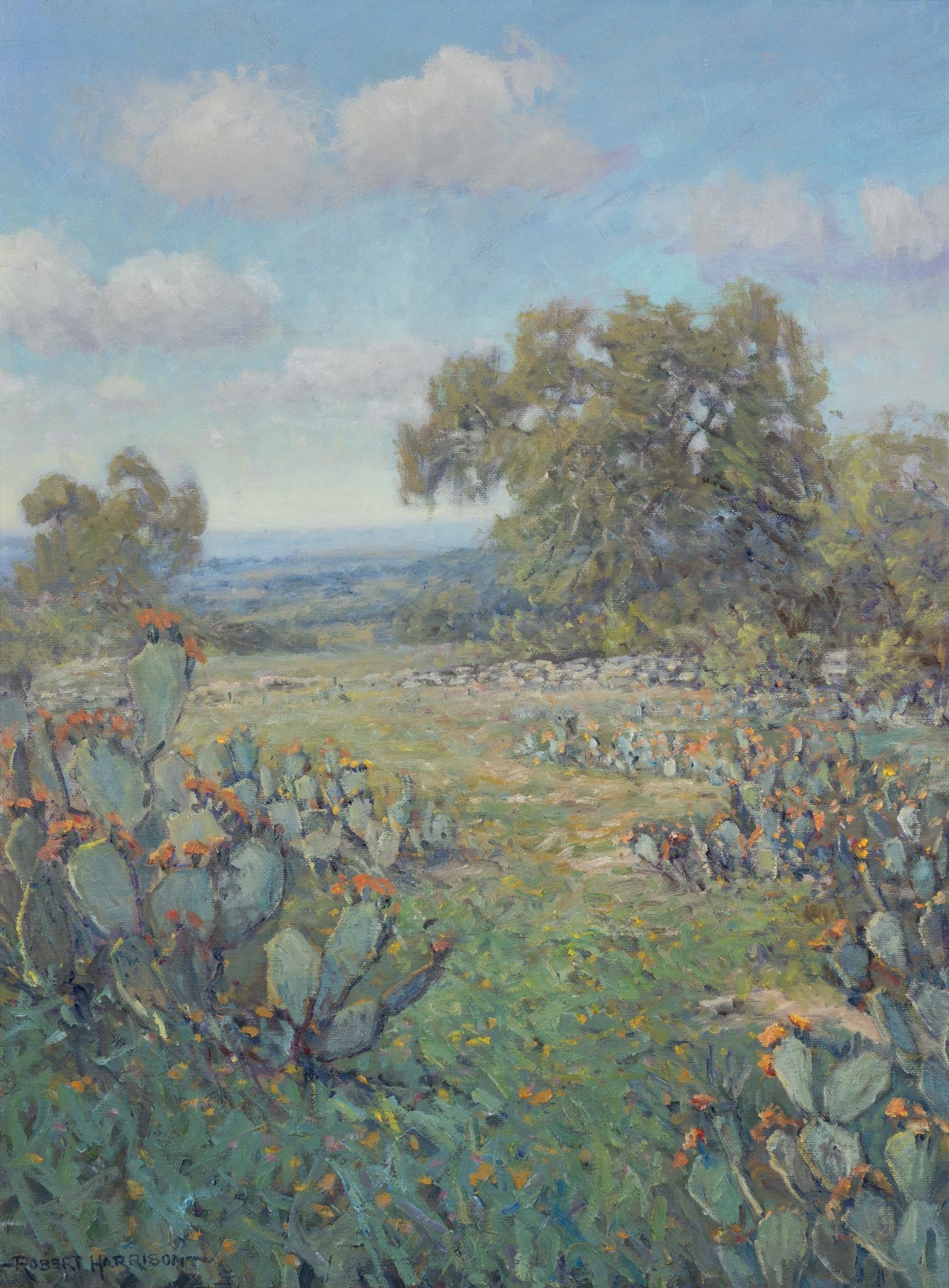Robert Harrison | Cactus Field | MutualArt