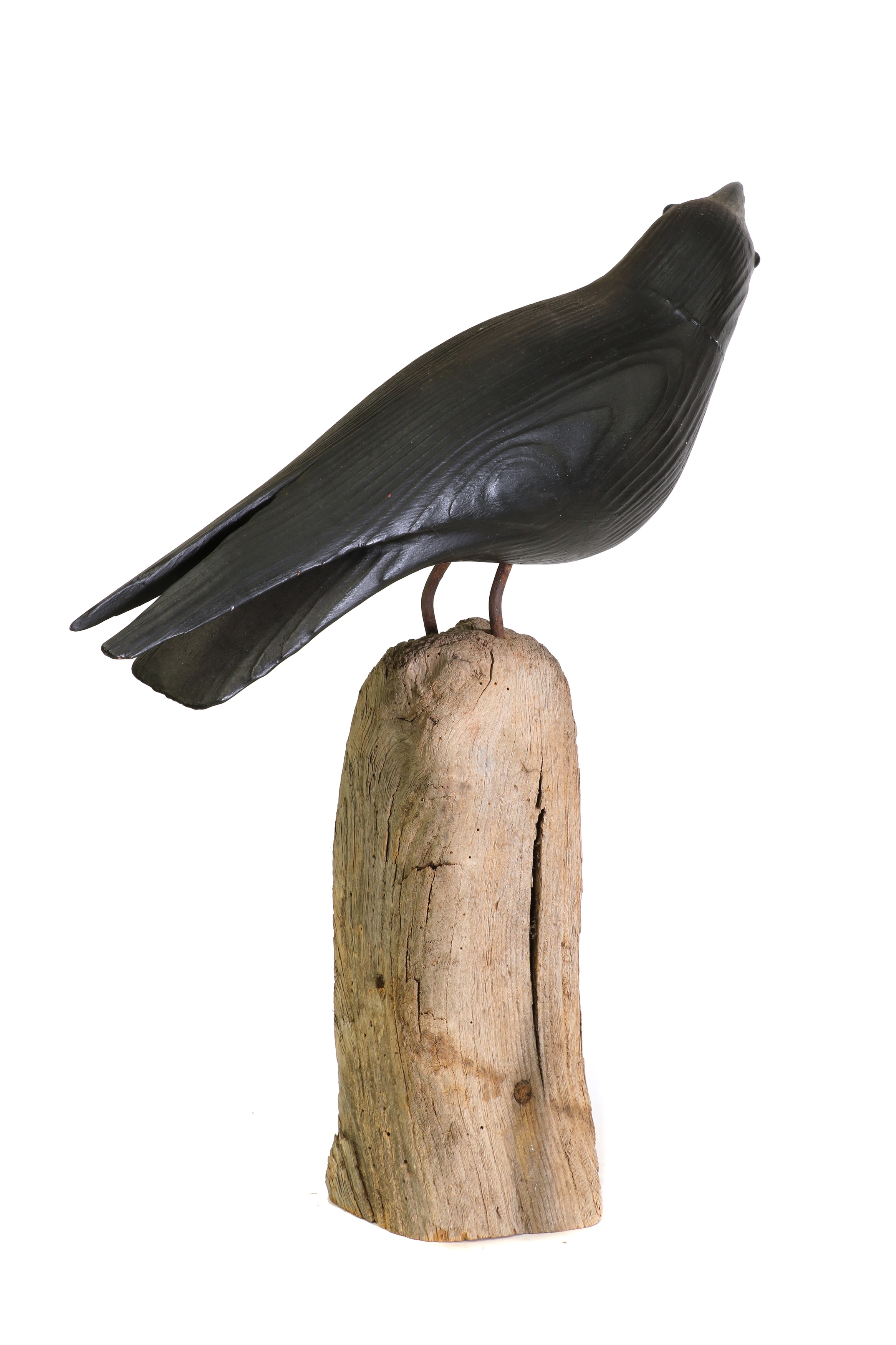 Guy Taplin | Crow | MutualArt