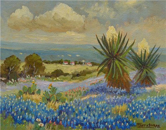 Santa Duran | Yucca Amid Bluebonnets | MutualArt