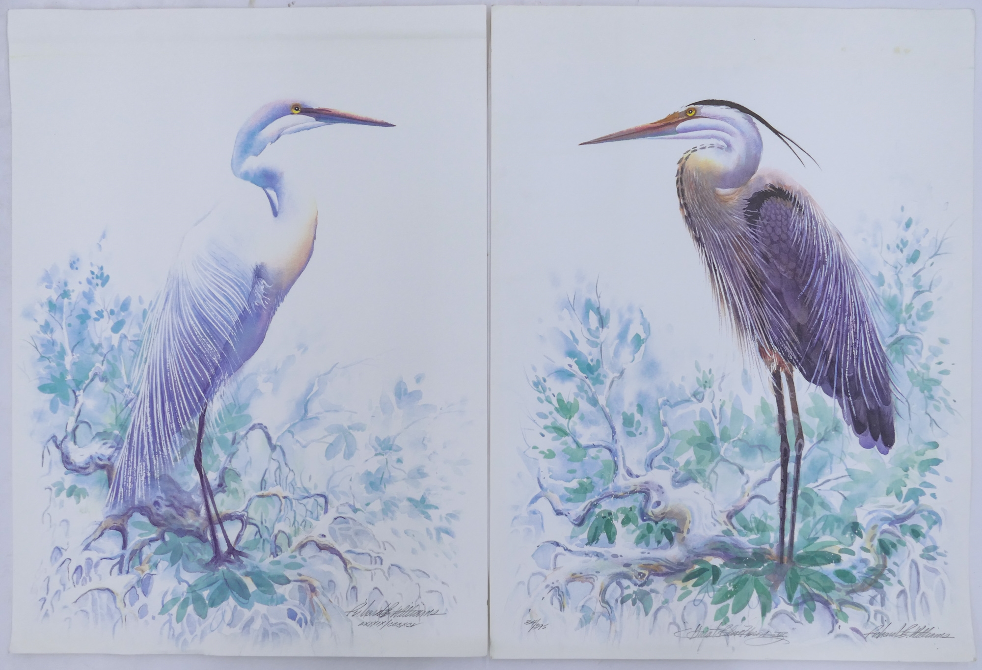 Richard E. Williams | GREAT HERON AND EGRET III | MutualArt