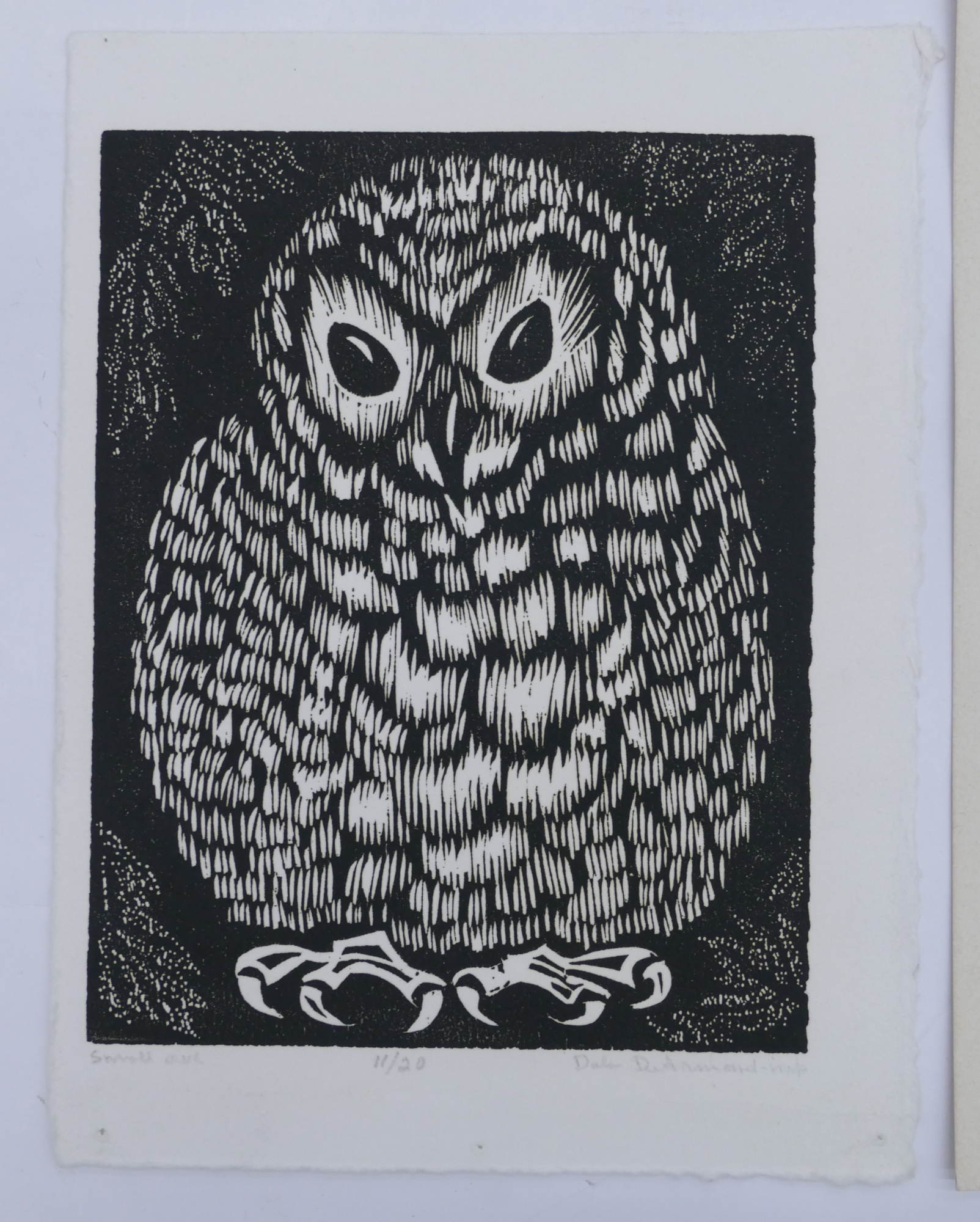Dale de Armond | Small Owl,, Small Bird, Skunk Cabbage | MutualArt
