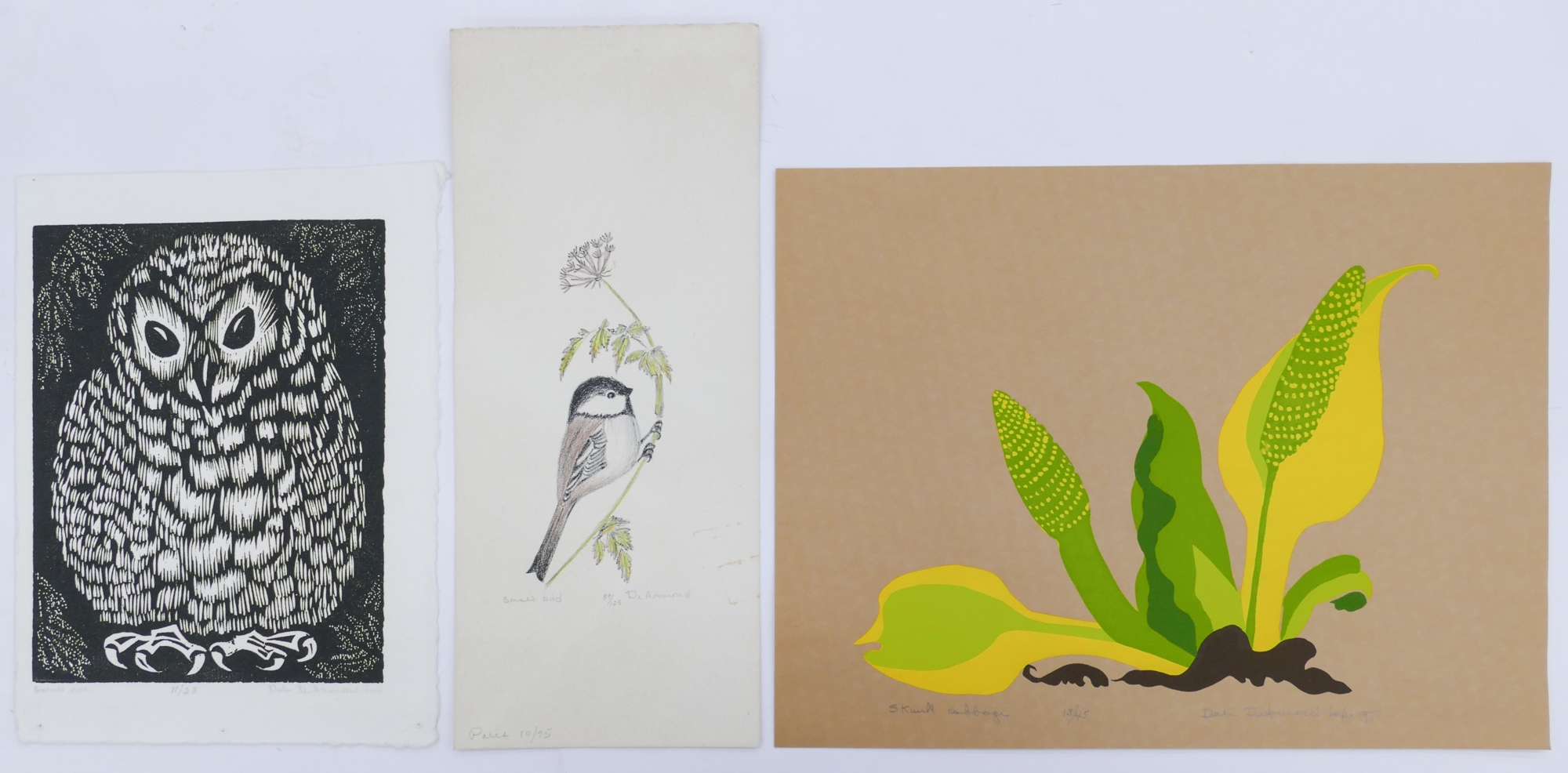 Dale de Armond | Small Owl,, Small Bird, Skunk Cabbage | MutualArt