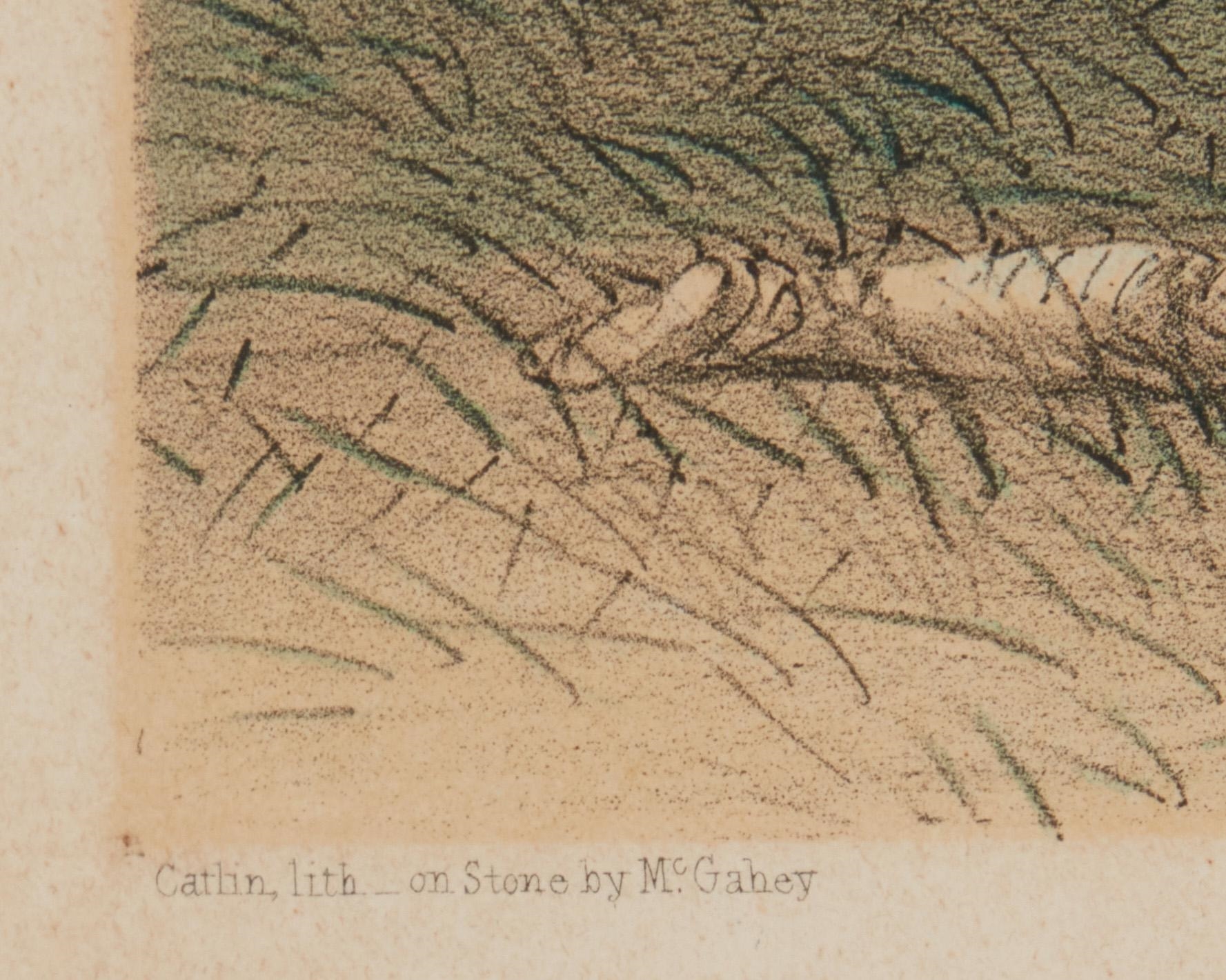 George Catlin | Antelope Shooting, plate 20 from Catlin's North ...