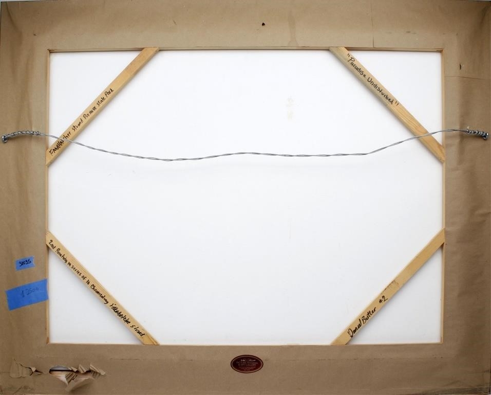 Daniel Butler | PARADISE UNDISTURBED | MutualArt