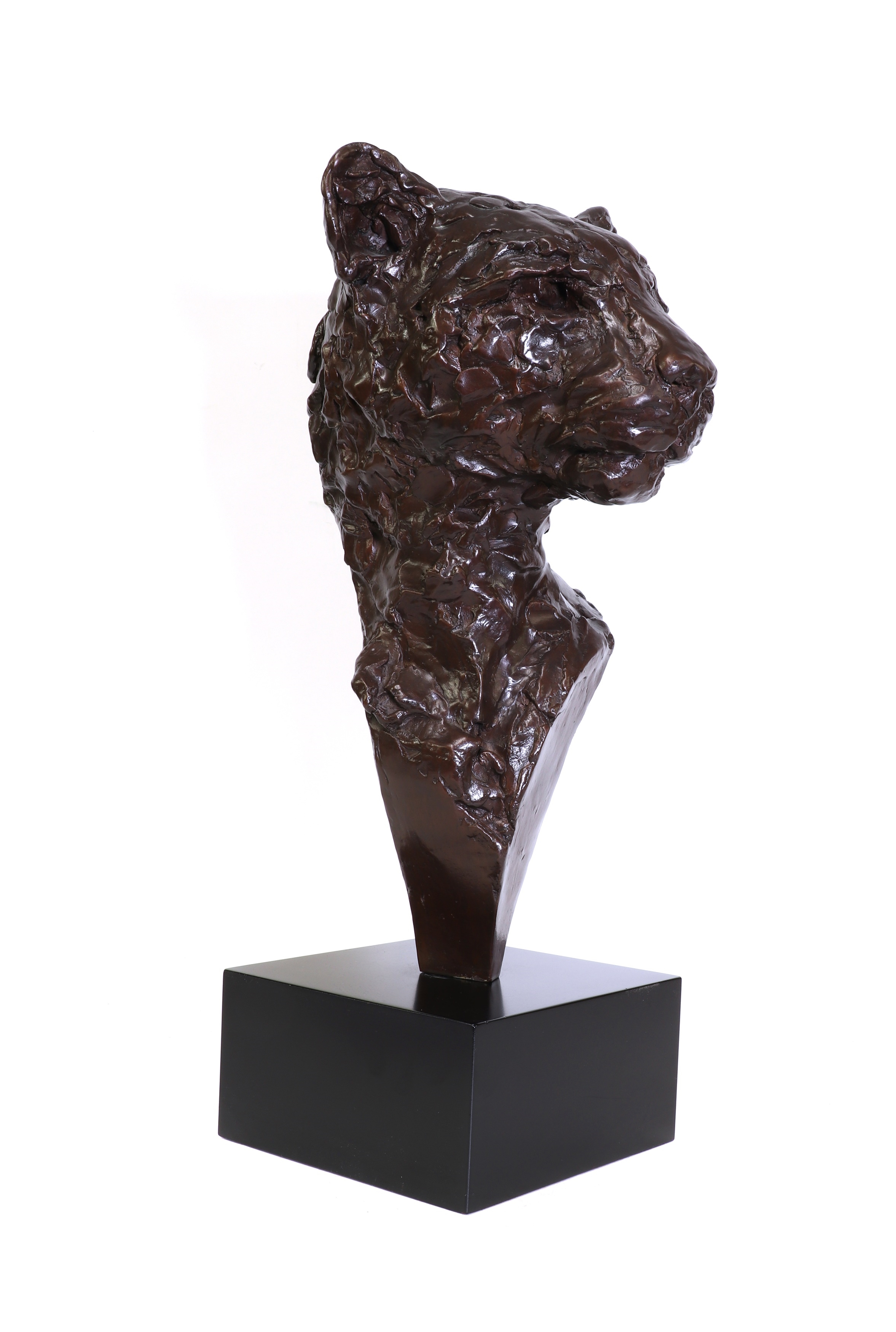 Mark Coreth | Lioness | MutualArt