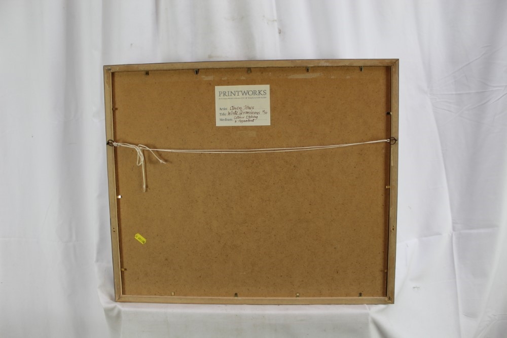 Olwen Jones | White Geraniums | MutualArt