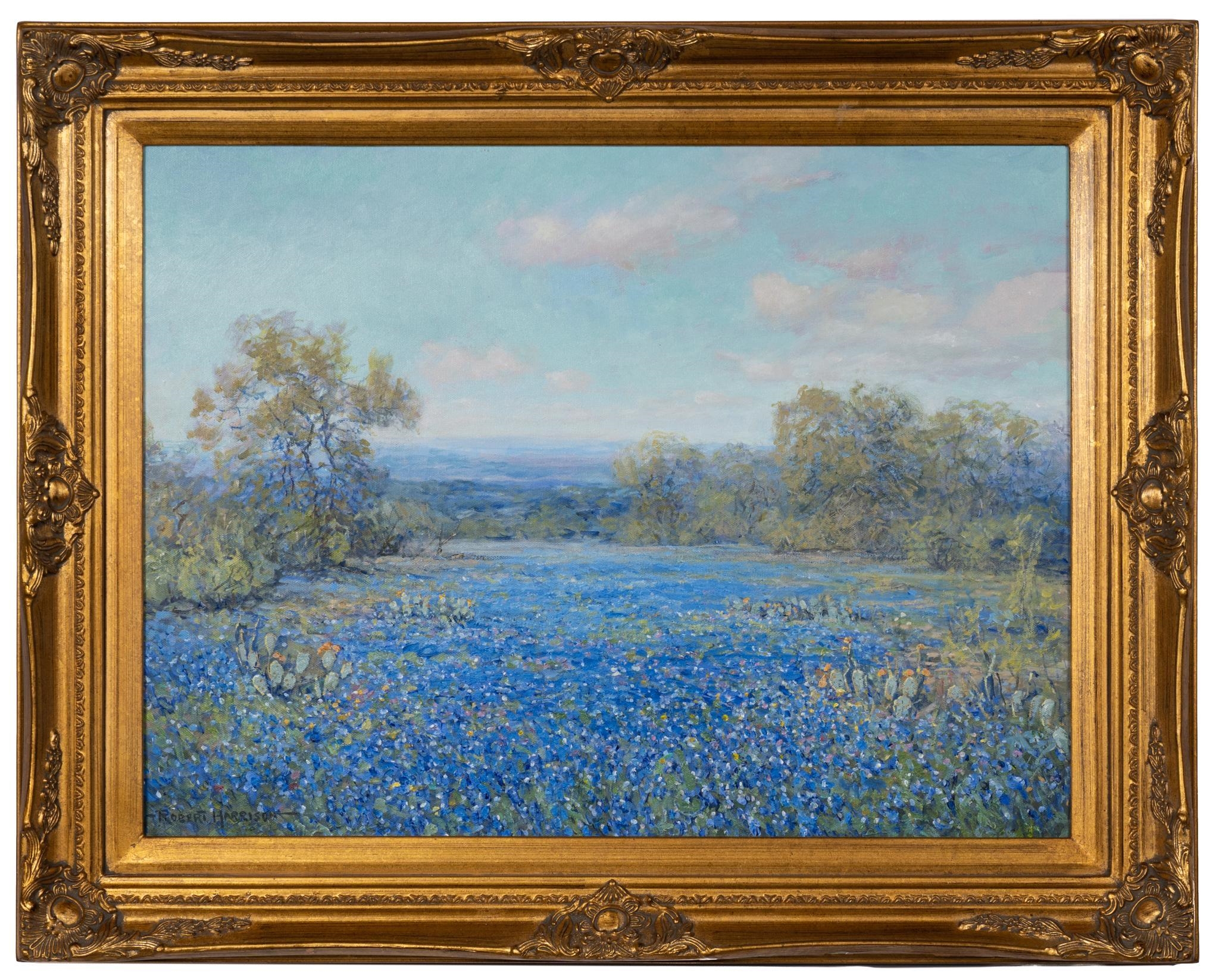 Robert Harrison | Bluebonnet Landscape | MutualArt