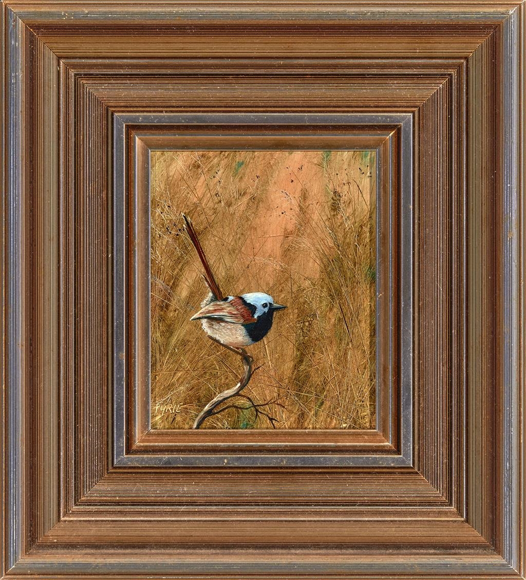 Neville James Tyrie | Red Wing Wren | MutualArt