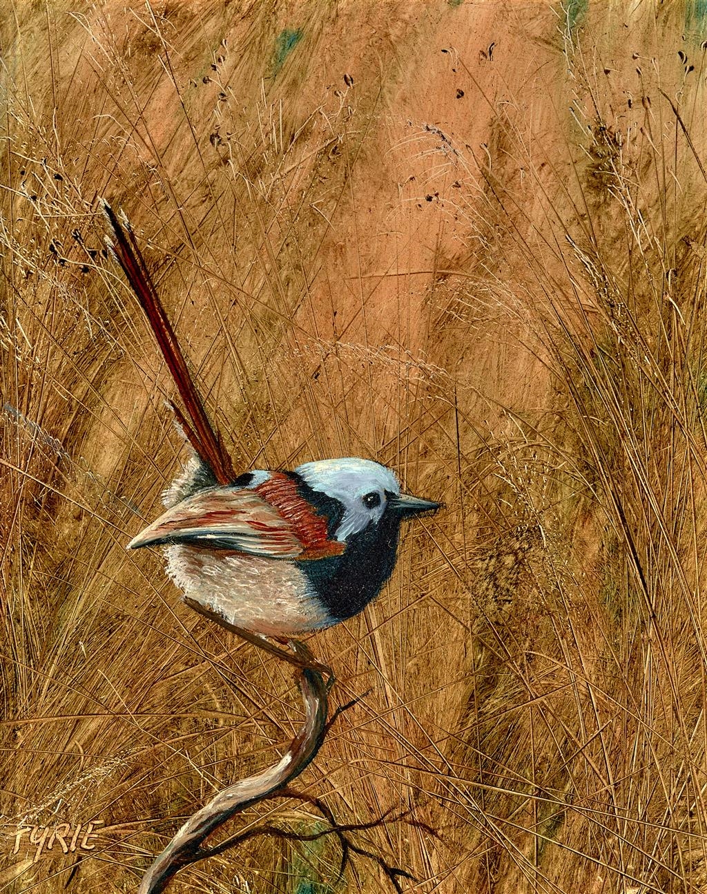 Neville James Tyrie | Red Wing Wren | MutualArt