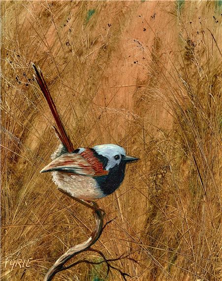 Neville James Tyrie | Red Wing Wren | MutualArt