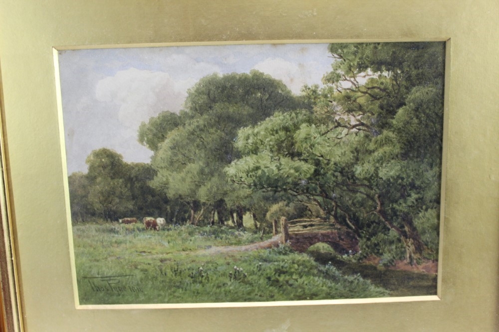 Thomas Pyne | Rural Landscapes | MutualArt