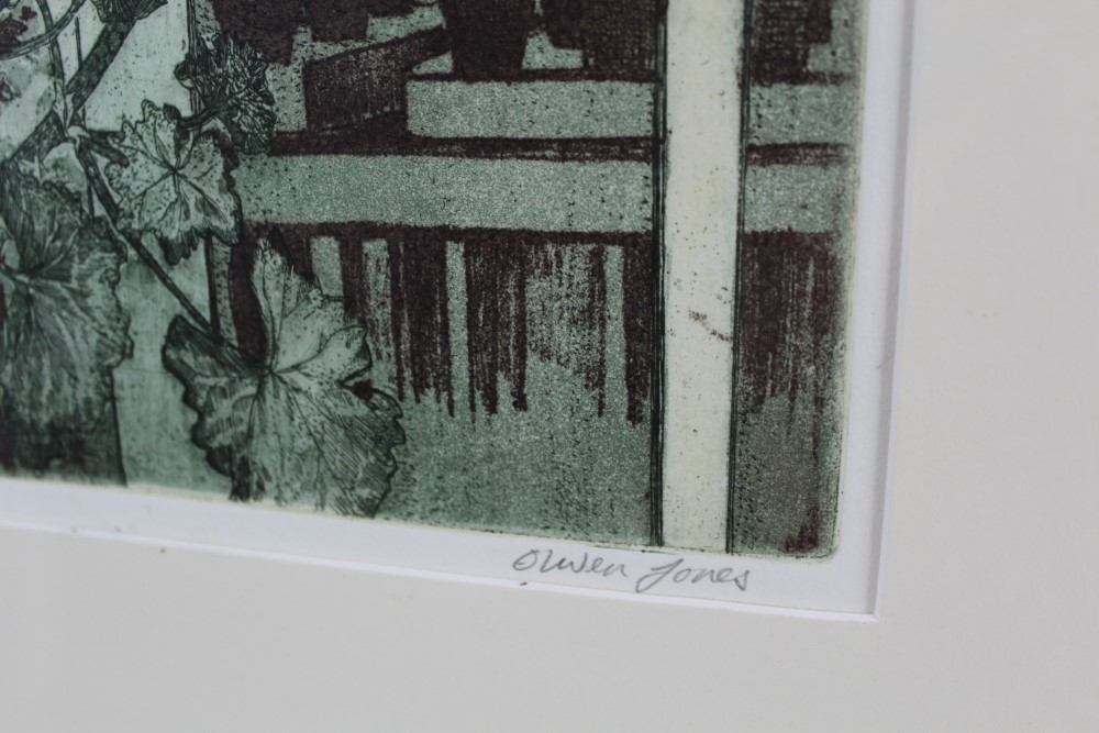 Olwen Jones | White Geraniums | MutualArt