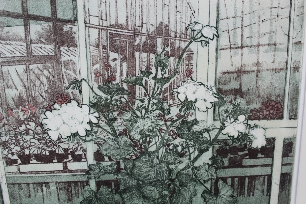 Olwen Jones | White Geraniums | MutualArt