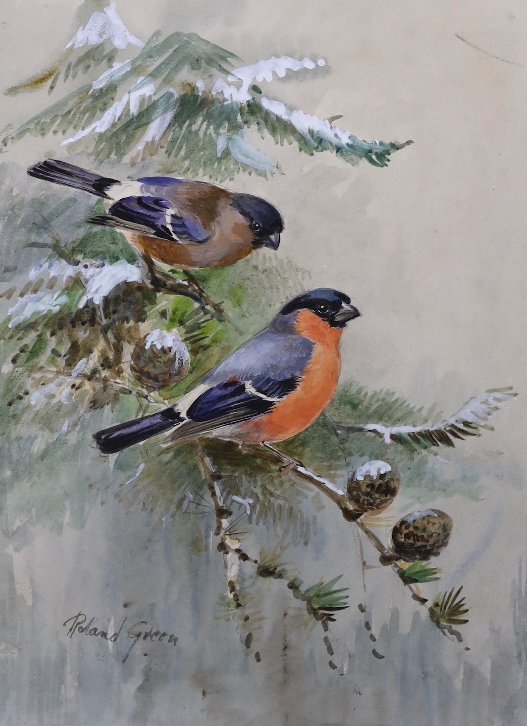 Roland Green | Garden birds | MutualArt