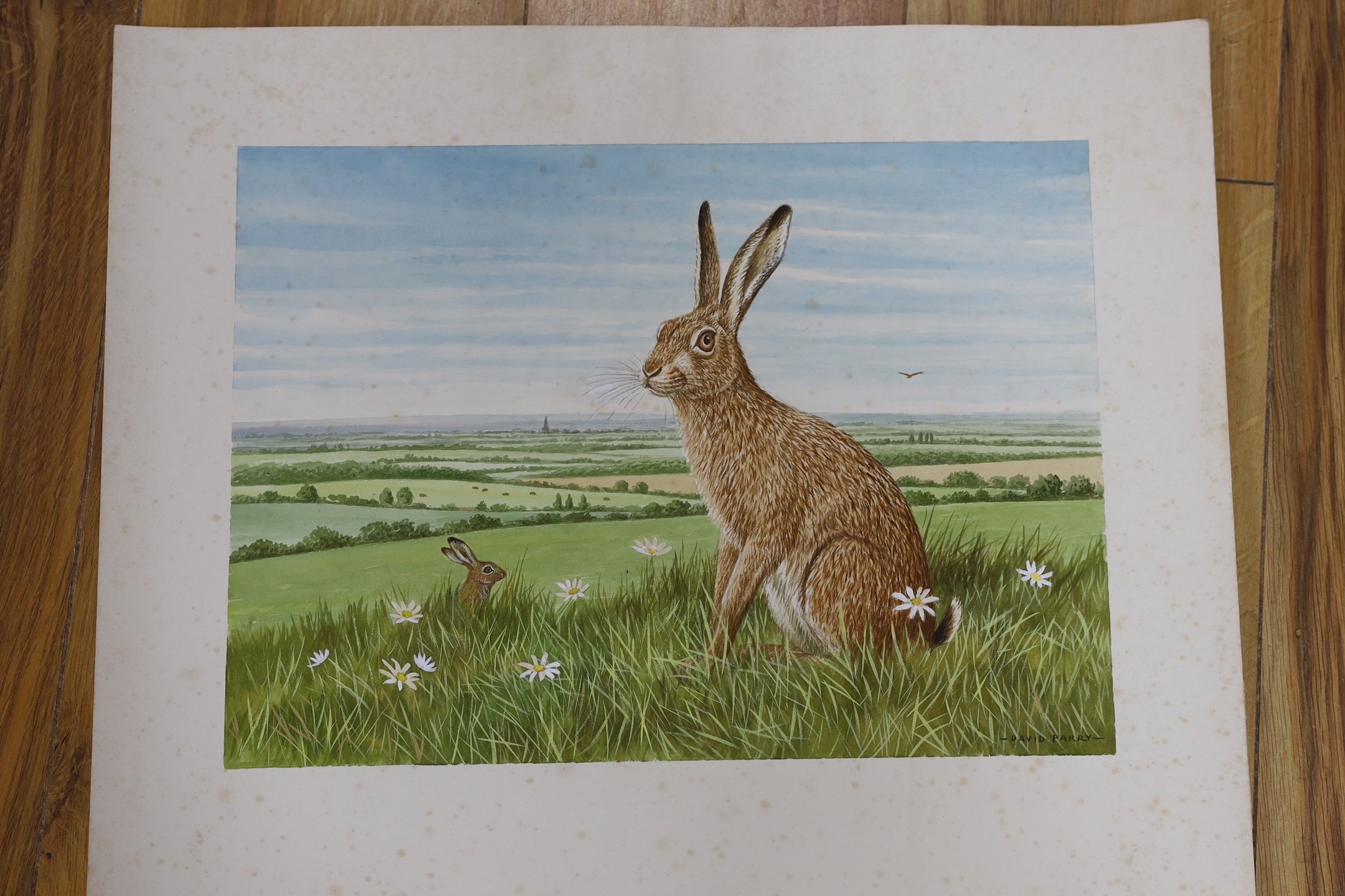 David Parry | Birds and wildlife | MutualArt