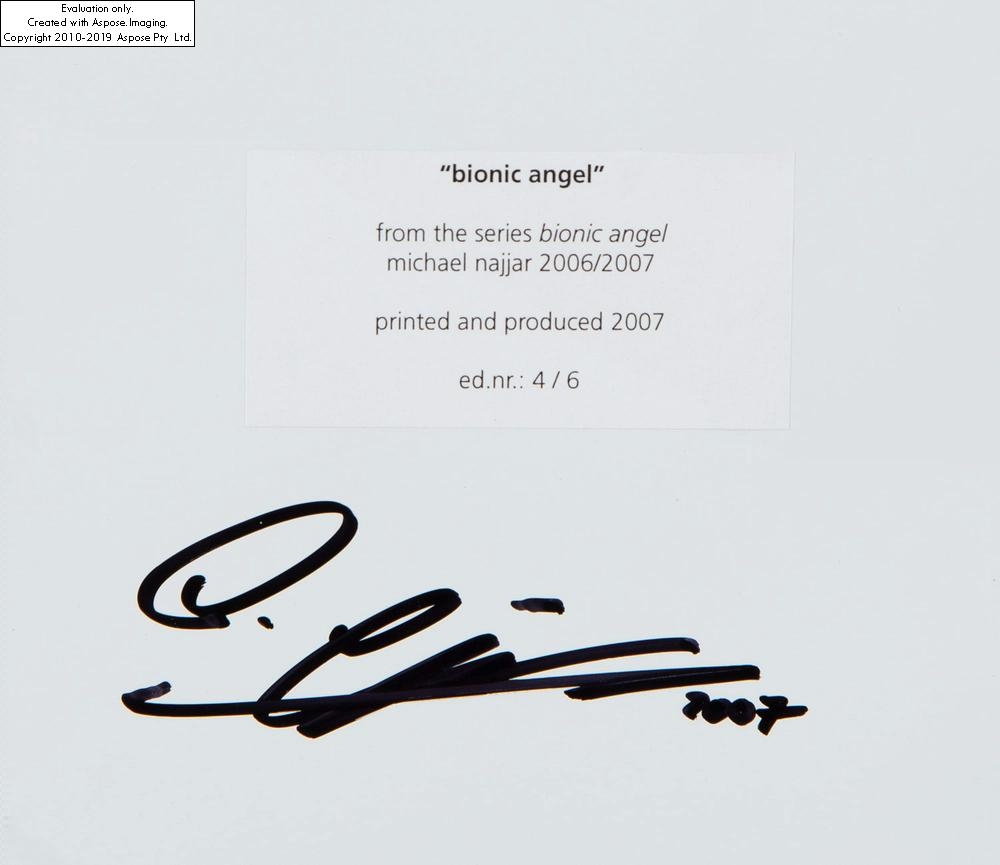Michael Najjar | Bionic Angel from series Bionic Angel (2007) | MutualArt
