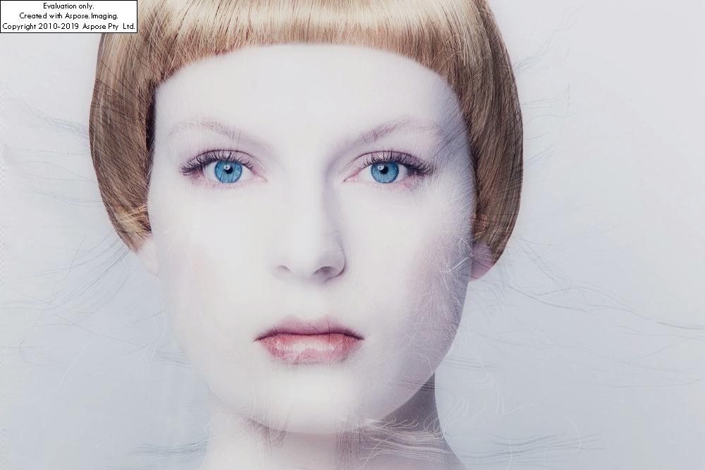 Michael Najjar | Bionic Angel from series Bionic Angel (2007) | MutualArt