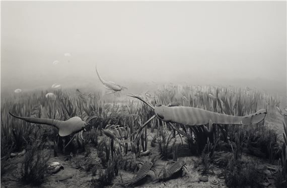 Hiroshi Sugimoto | Silurian Period, 1992 (1992) | MutualArt