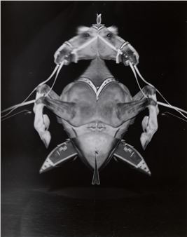 Arthur Fellig | Acrobats (distortion) (1950) | MutualArt