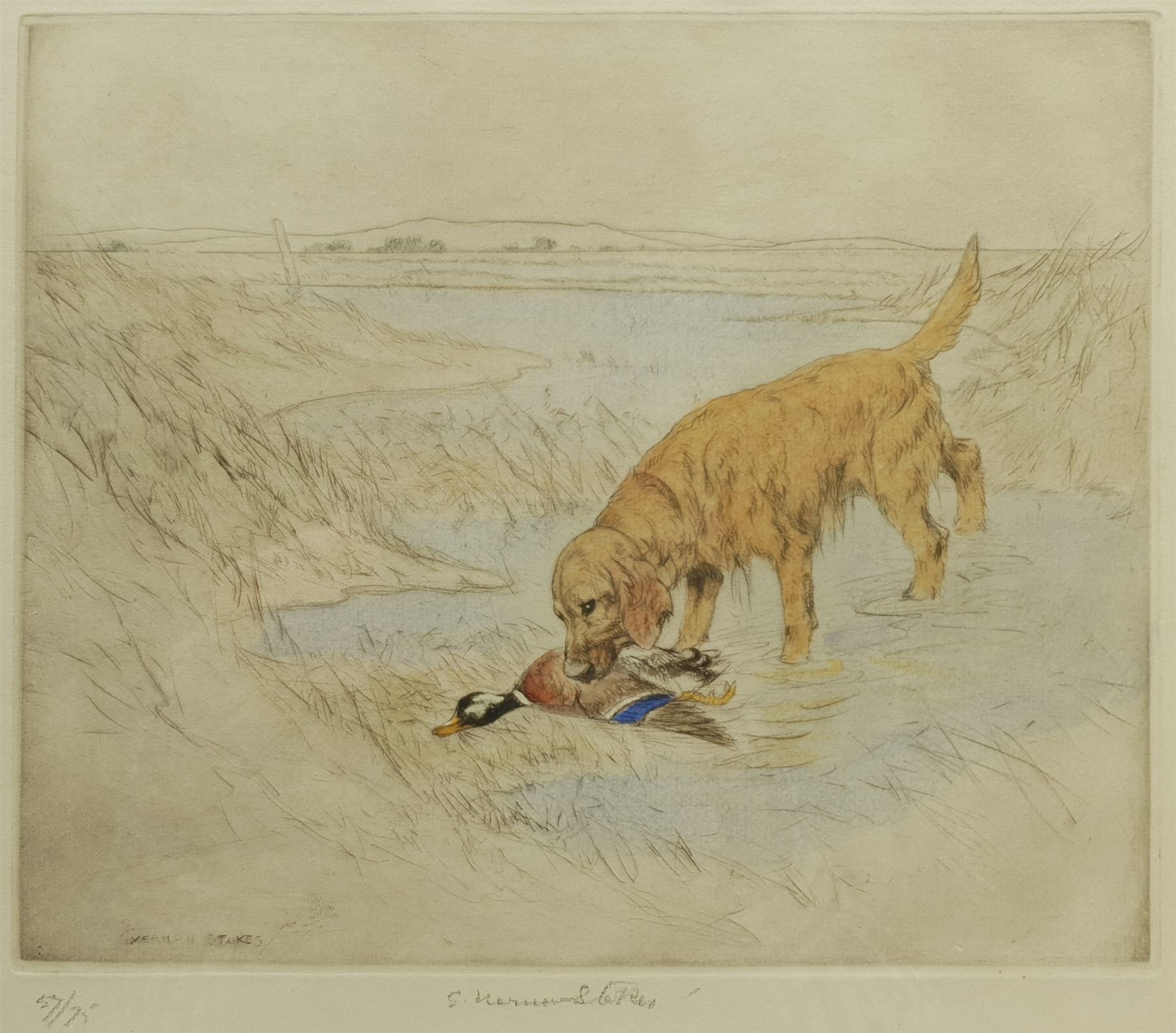 George Vernon Stokes | Golden Retriever and Mallard | MutualArt