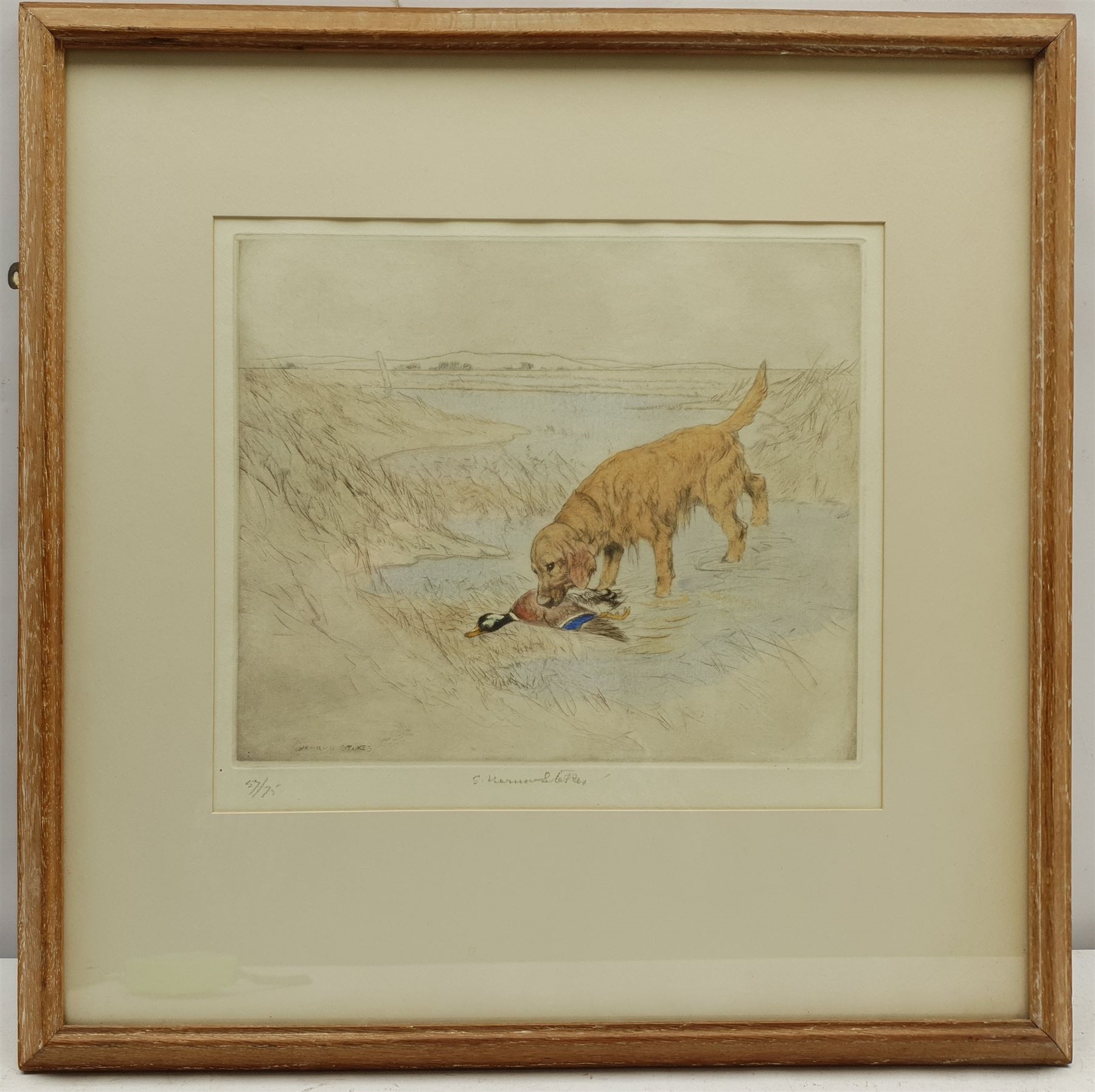 George Vernon Stokes | Golden Retriever and Mallard | MutualArt